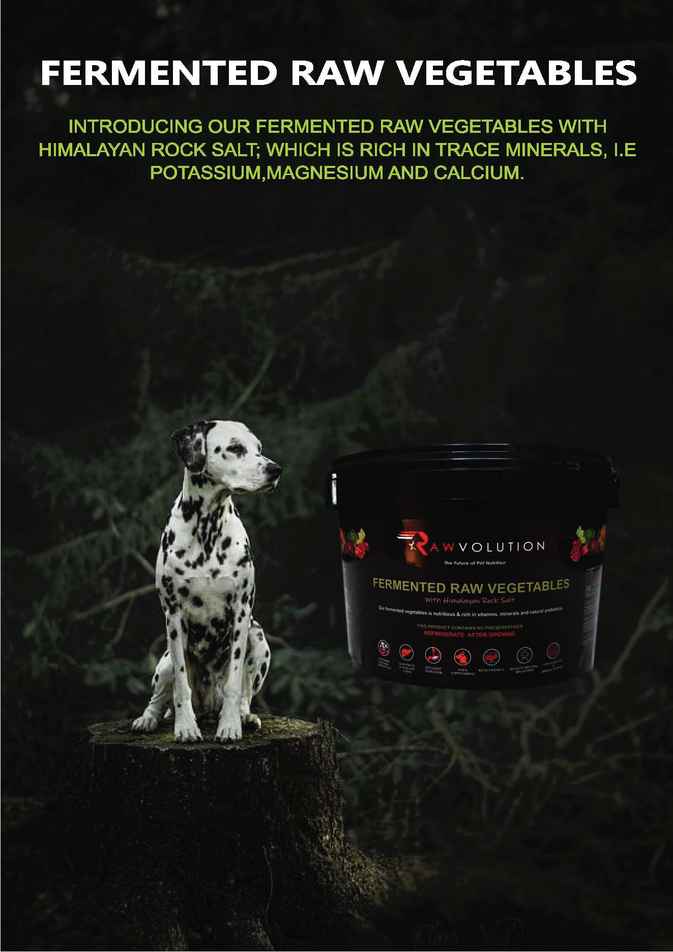 Fermented Raw Vegatables – RawVolution | Natural Pet Food in Cape Town ...
