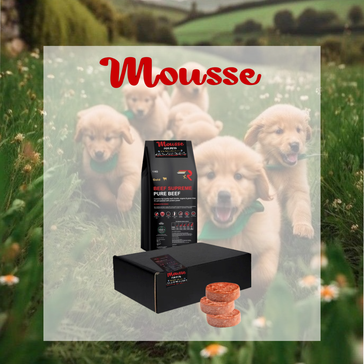 Mousse - Beef Supreme – RawVolution | Natural Pet Food in Cape Town ...