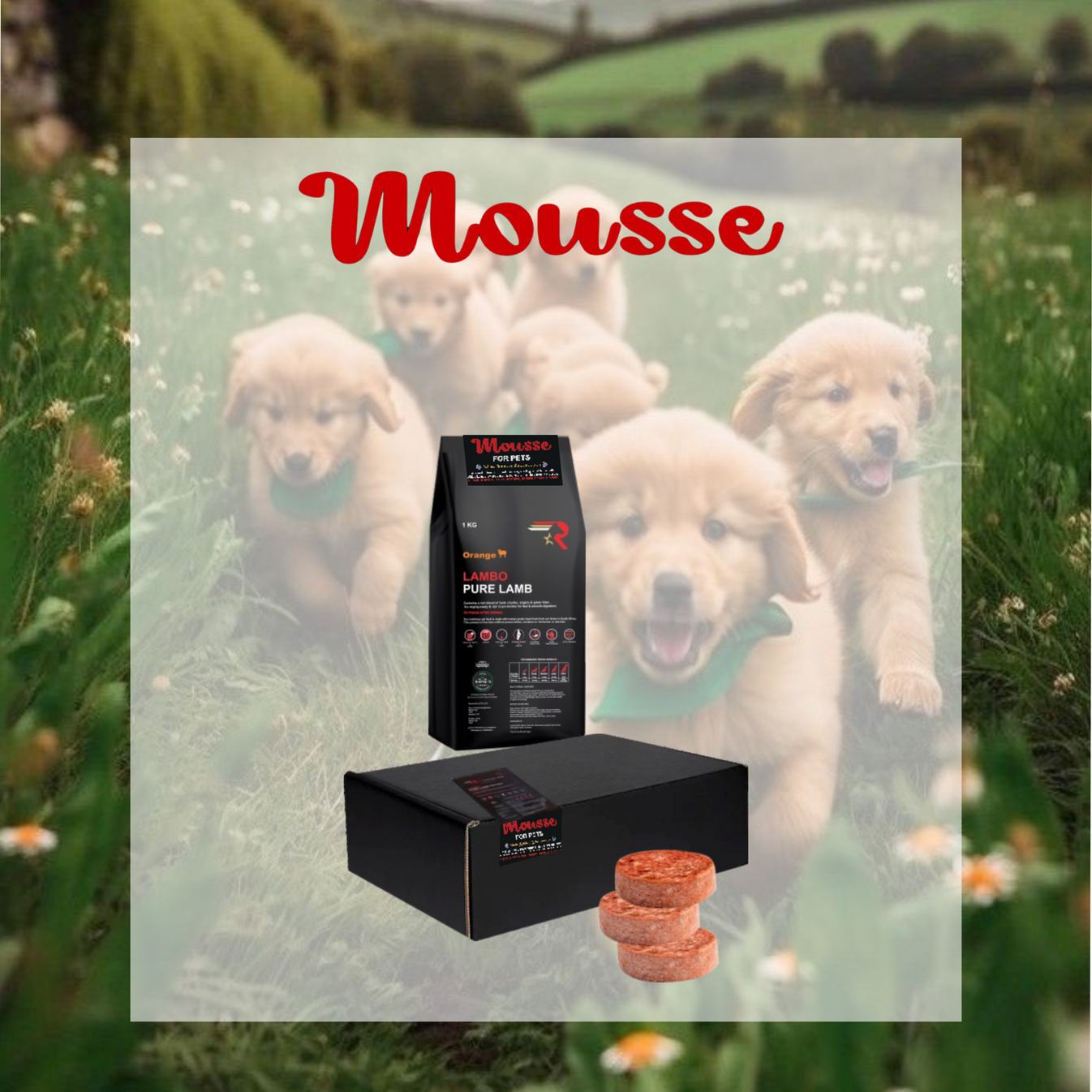Mousse - Lambo – RawVolution | Natural Pet Food in Cape Town | Organic Food