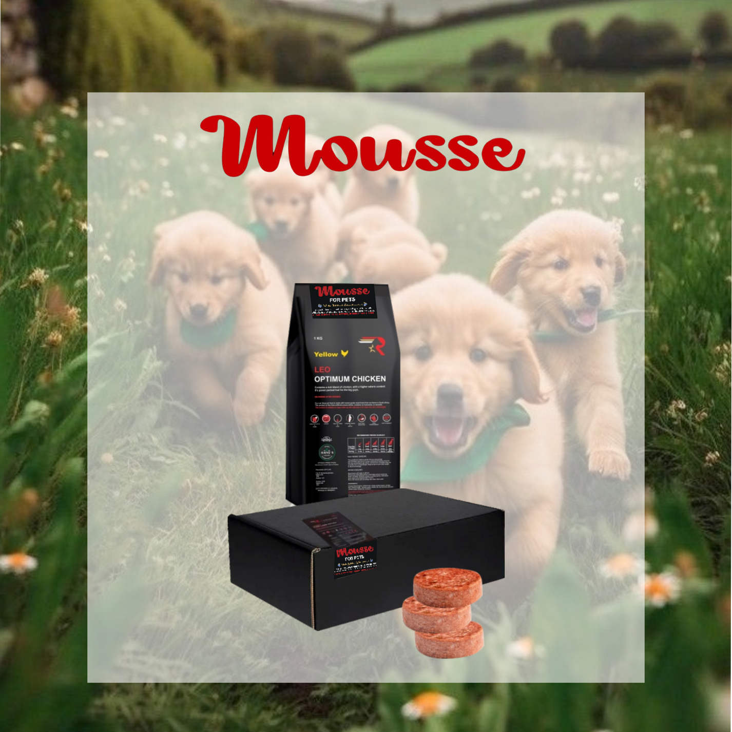 Mousse - Leo – RawVolution | Natural Pet Food in Cape Town | Organic Food